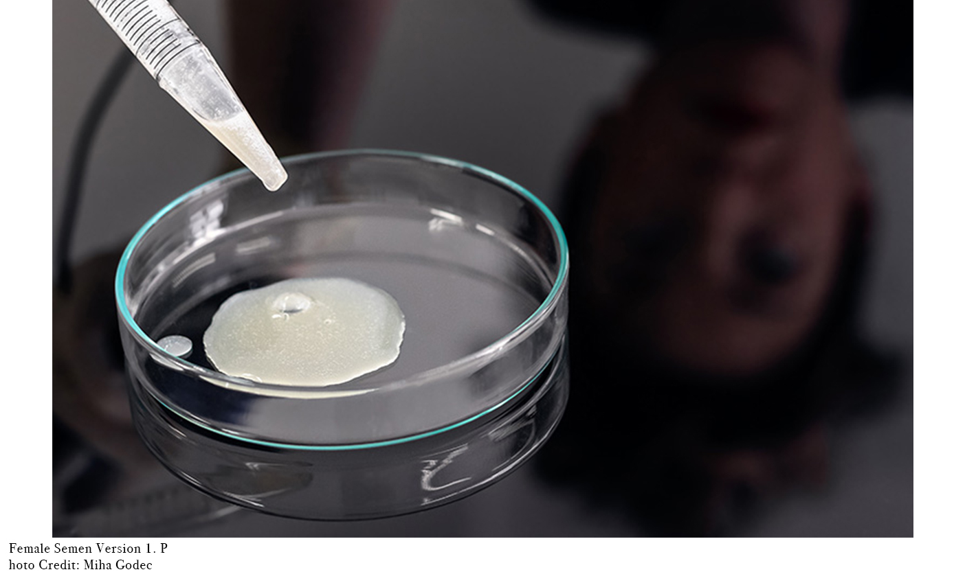 Sybaris Collection © | Art, Science, and Gender Studies: Charlotte ...